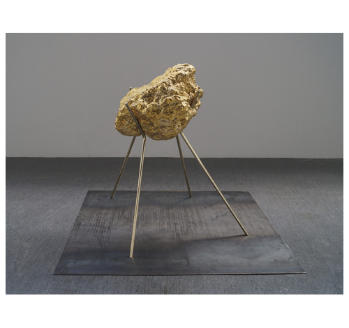 Head – Roger Partridge